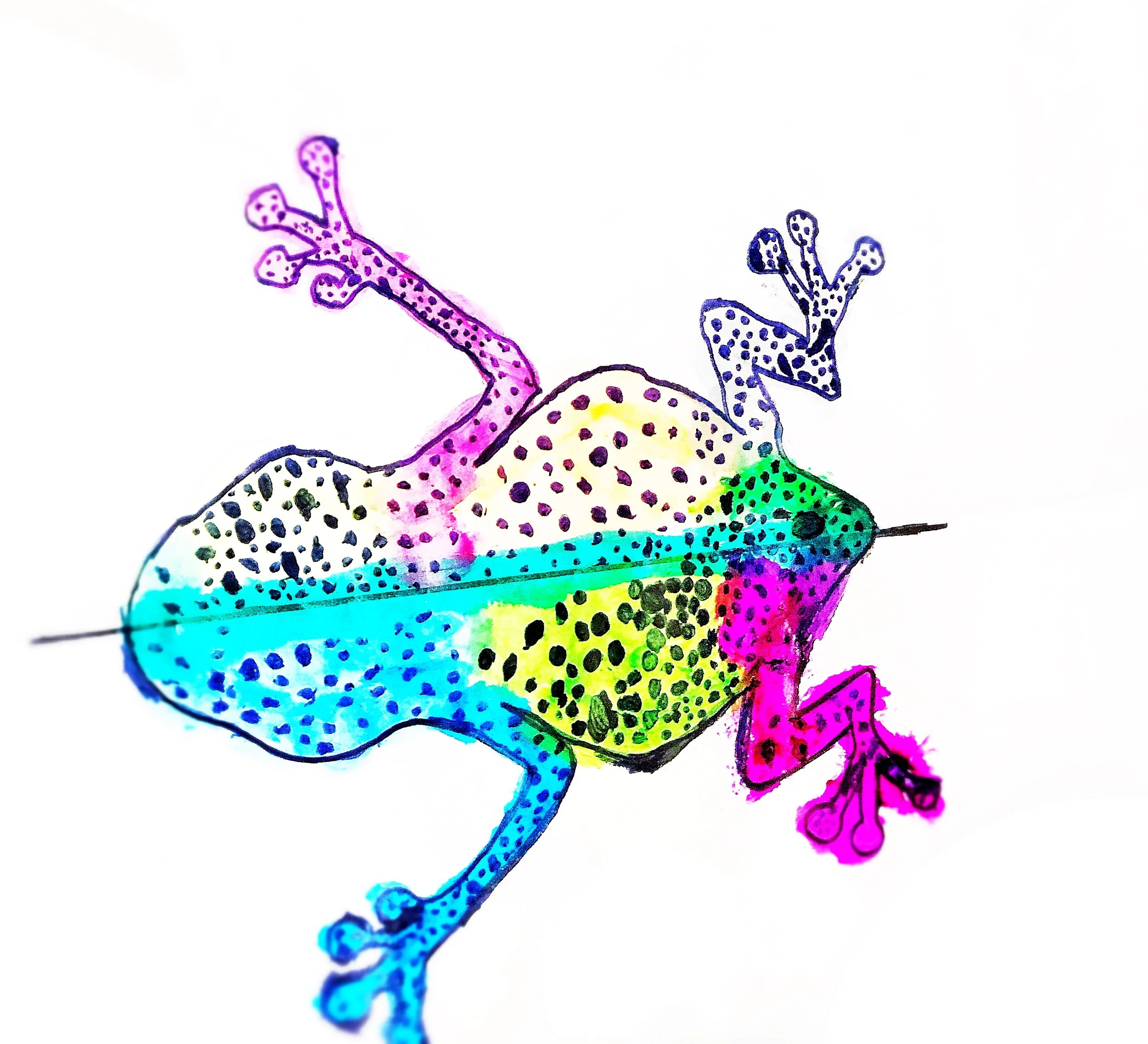 Anatomy of a Frog (FREE PRINTABLE) — Blog & DIY Resources | Kid Lab: A ...
