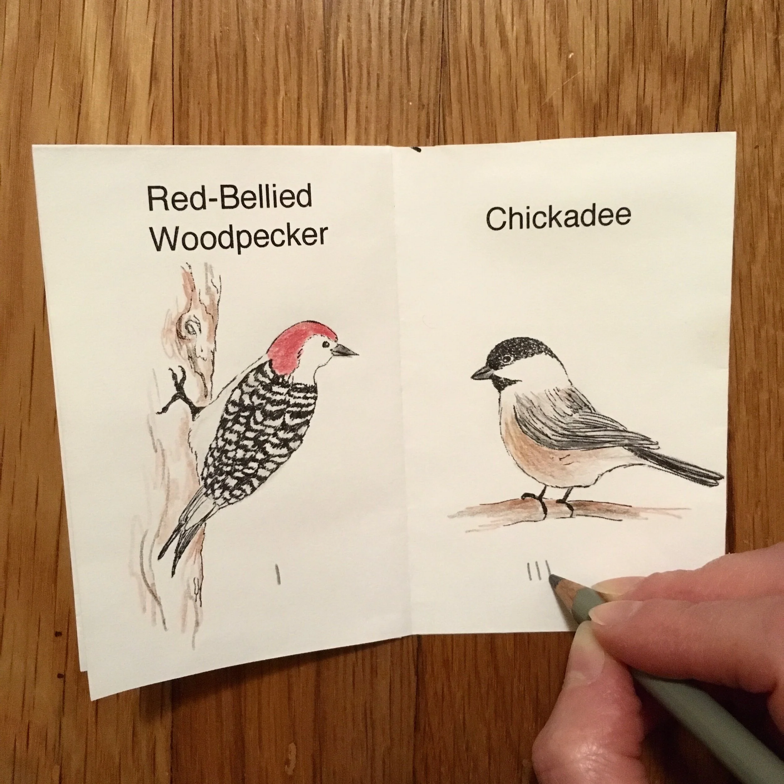 Birds In My Backyard: FREE Printable Book — Blog & DIY Resources | Kid ...