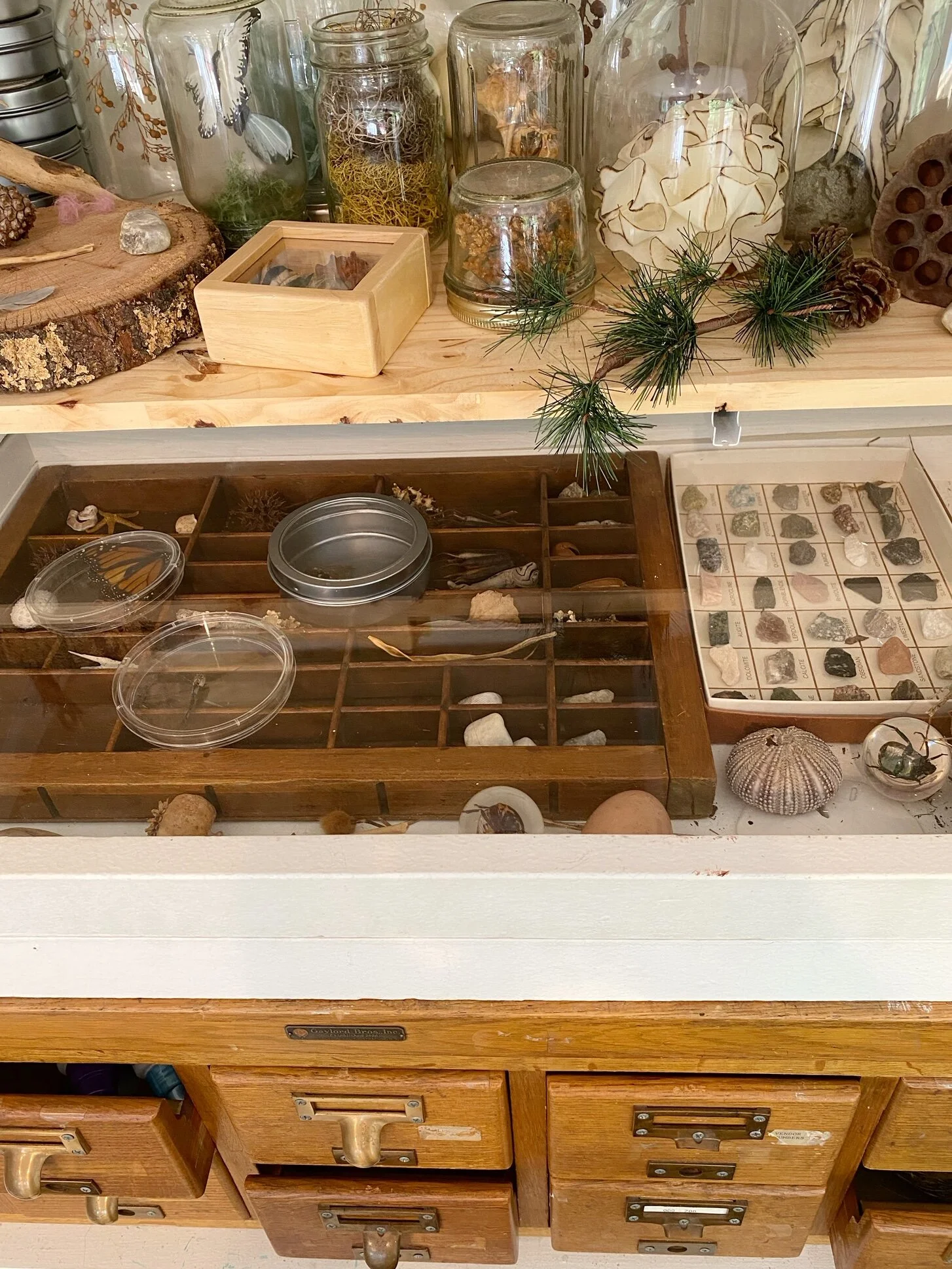 Favorite Science Tools — Blog & DIY Resources | Kid Lab: A nonprofit ...