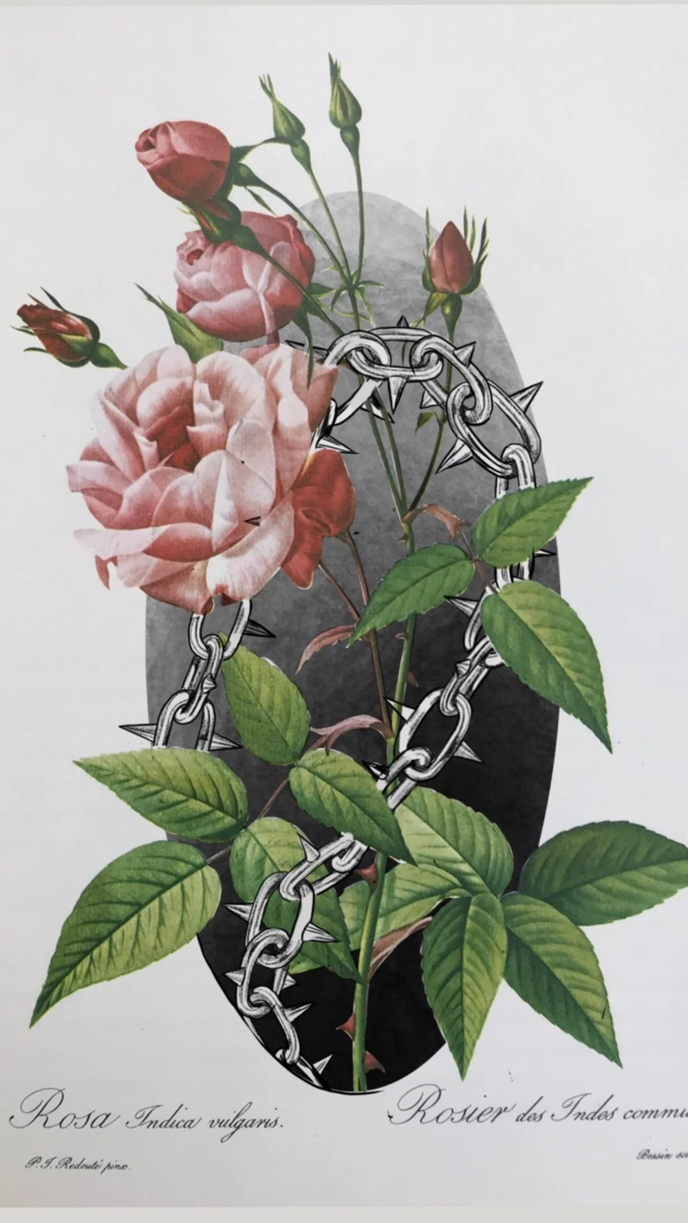 PROJECT REQUEST FORM Rose and Chain — Meg Adamson