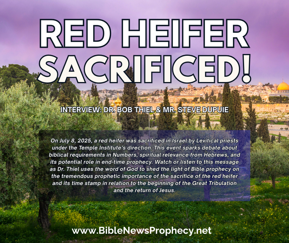 Red Heifer Sacrificed! — Bible News Prophecy Radio