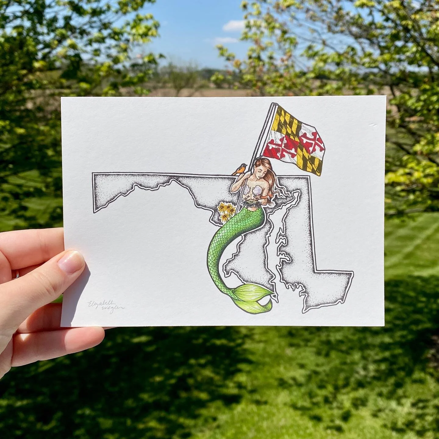 Elizabeth Weglein Art