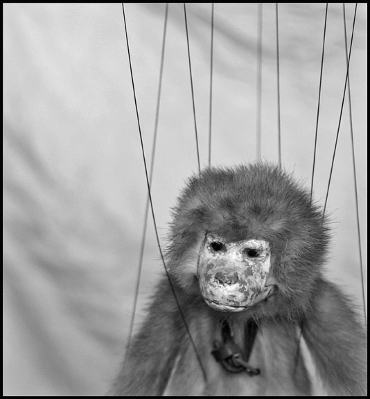 Puppets — PHANTOM LIMB COMPANY