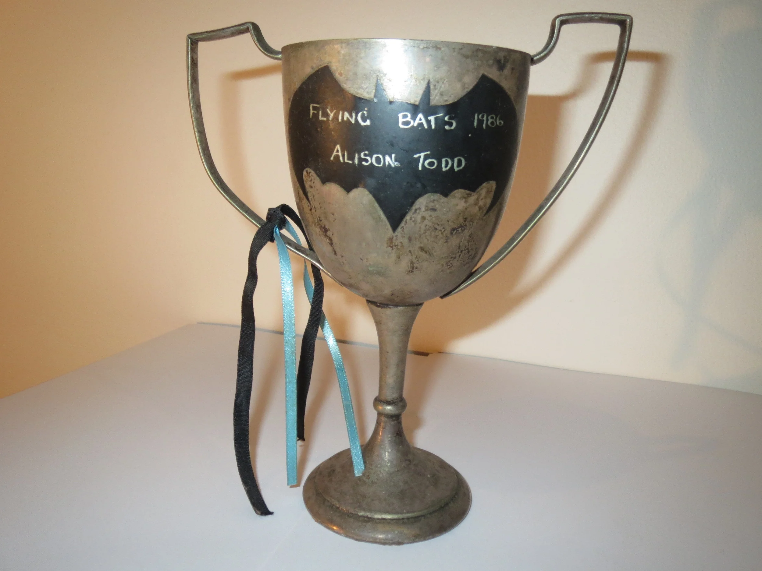 Origins — The Flying Bats