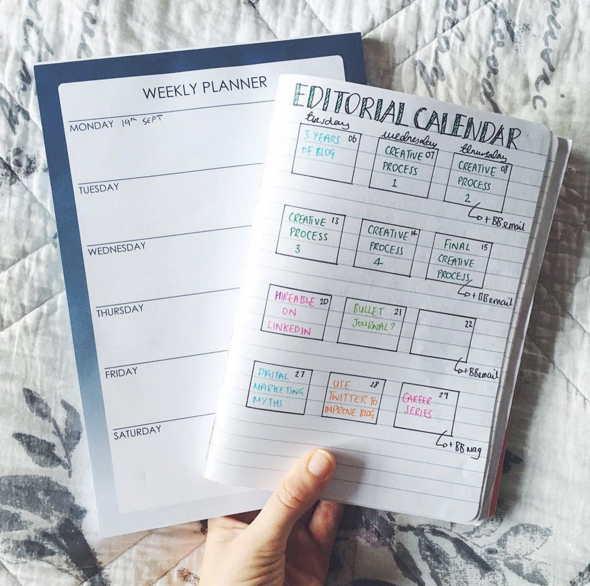 EXCLUSIVE: A BEHIND-THE-SCENES LOOK AT MY NEW DAILY ROUTINE - Holly Bray