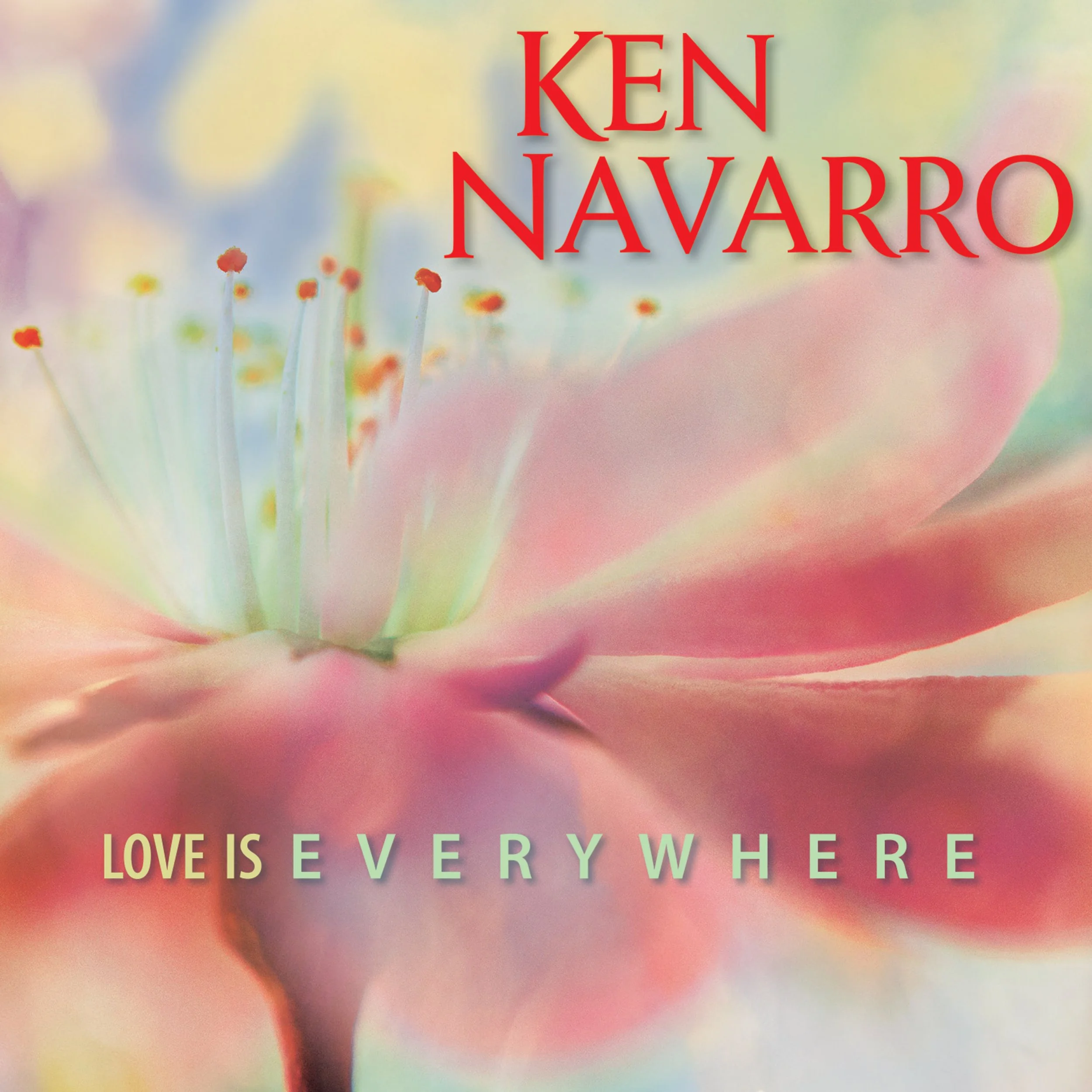Ken Navarro - Contemporary Jazz Guitarist & Composer