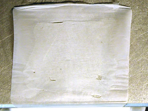 Frozen Section Technique III — Pathology Innovations