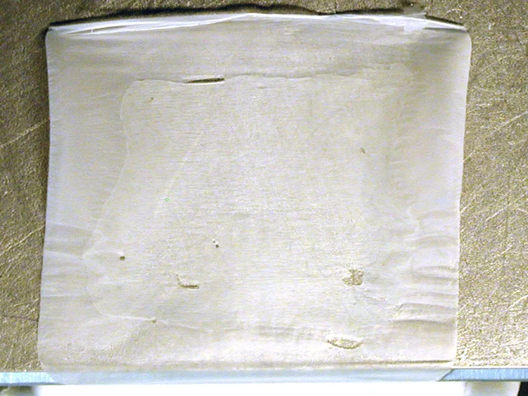 Frozen Section Technique III — Pathology Innovations