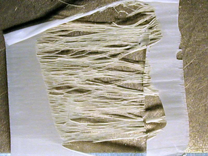 Frozen Section Technique III — Pathology Innovations