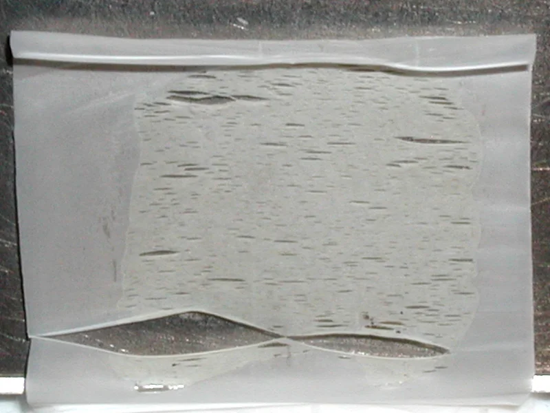 Frozen Section Technique III — Pathology Innovations