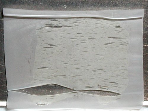 Frozen Section Technique III — Pathology Innovations