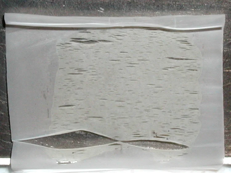 Frozen Section Technique III — Pathology Innovations