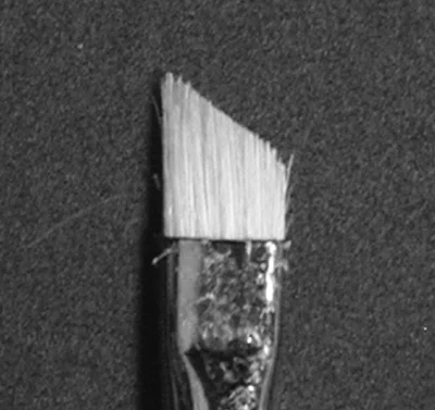 Frozen Section Technique I — Pathology Innovations