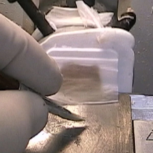 Frozen Section Technique I — Pathology Innovations