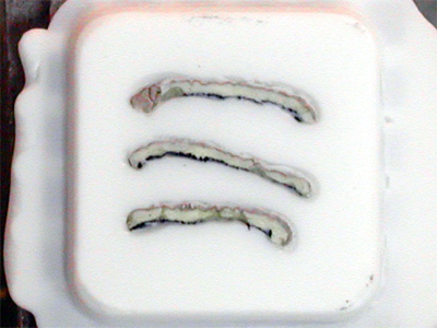 Face Down Cryoembedding — Pathology Innovations