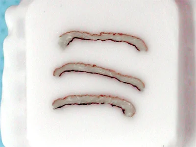 Face Down Cryoembedding — Pathology Innovations