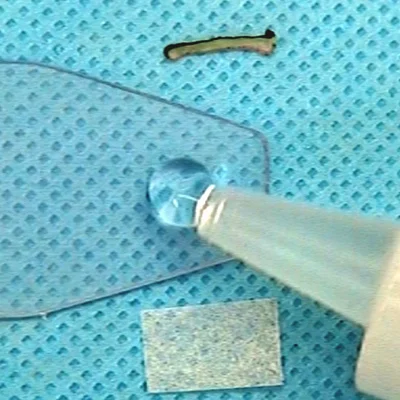 Paper Embedding — Pathology Innovations