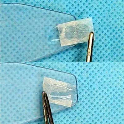 Paper Embedding — Pathology Innovations