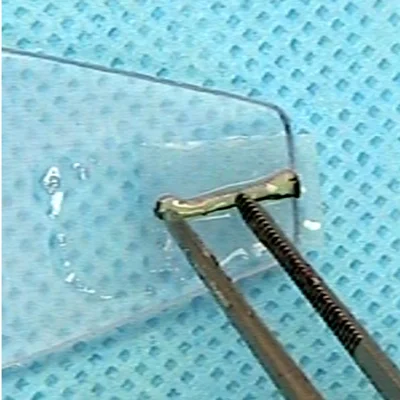 Paper Embedding — Pathology Innovations