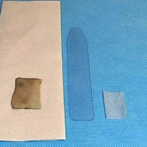 Paper Embedding — Pathology Innovations