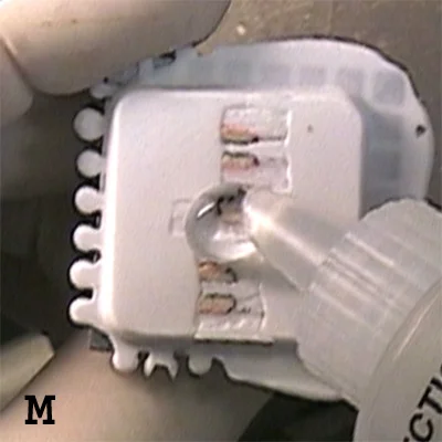 Frozen Block Cryoembedding — Pathology Innovations