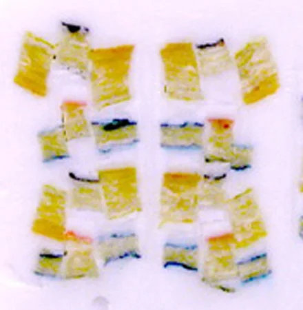 Gallery of Possibilities — Pathology Innovations