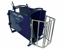 Thompson Longhorn Homepage