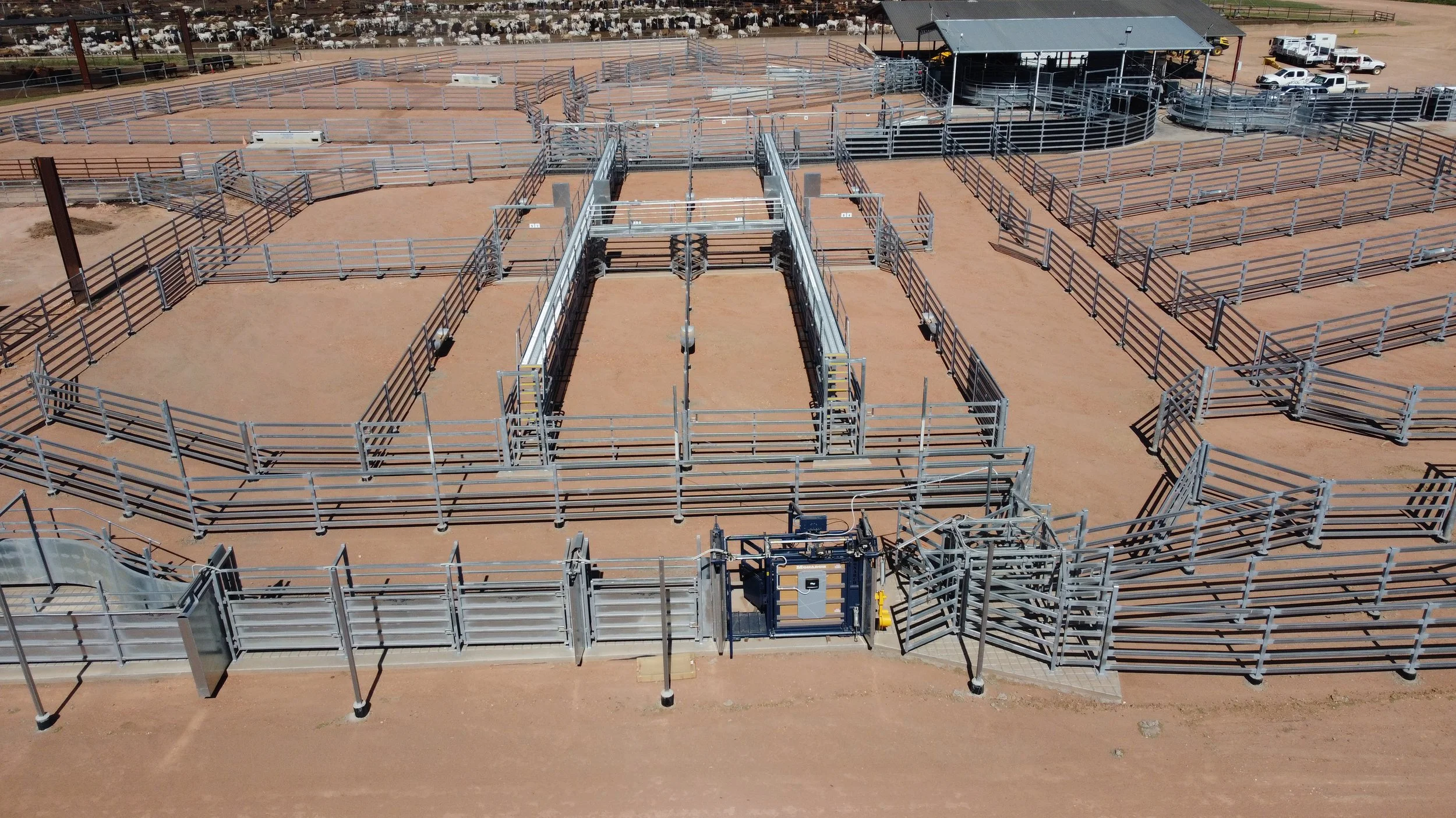 Thompson Longhorn Homepage