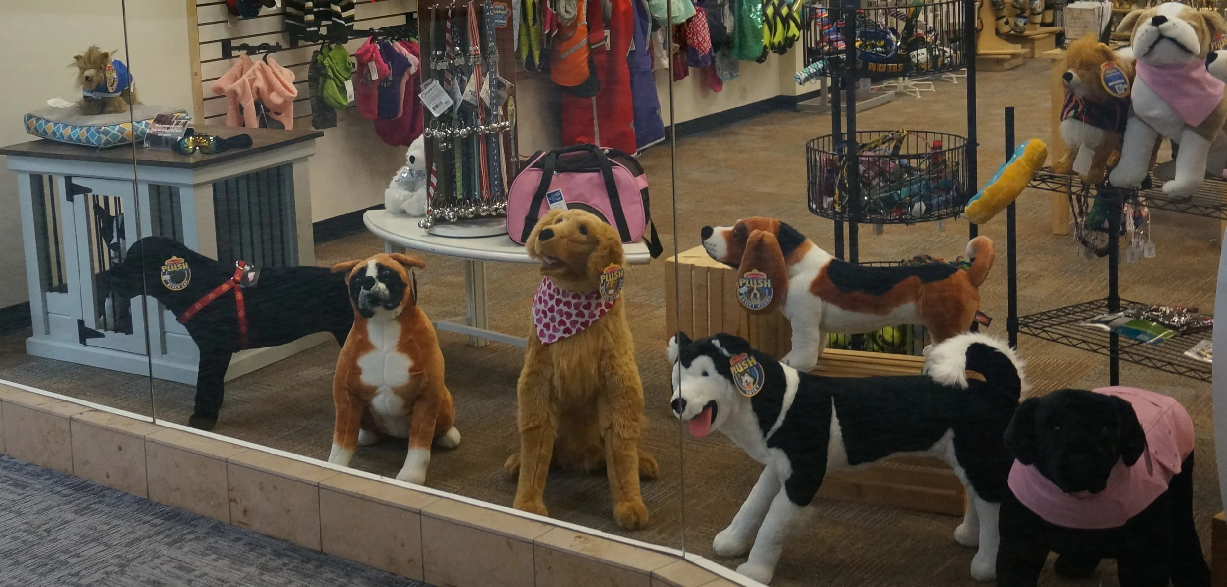 Welcome, it's good to see you again. — Just Paws Gourmet