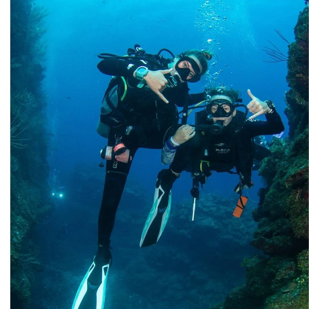 Dive Professional Training - Roatan Divers