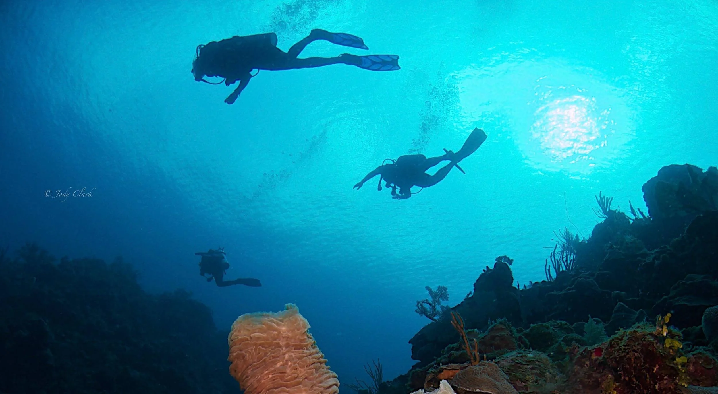 Roatan Divers | The best in boutique style scuba diving on Roatan