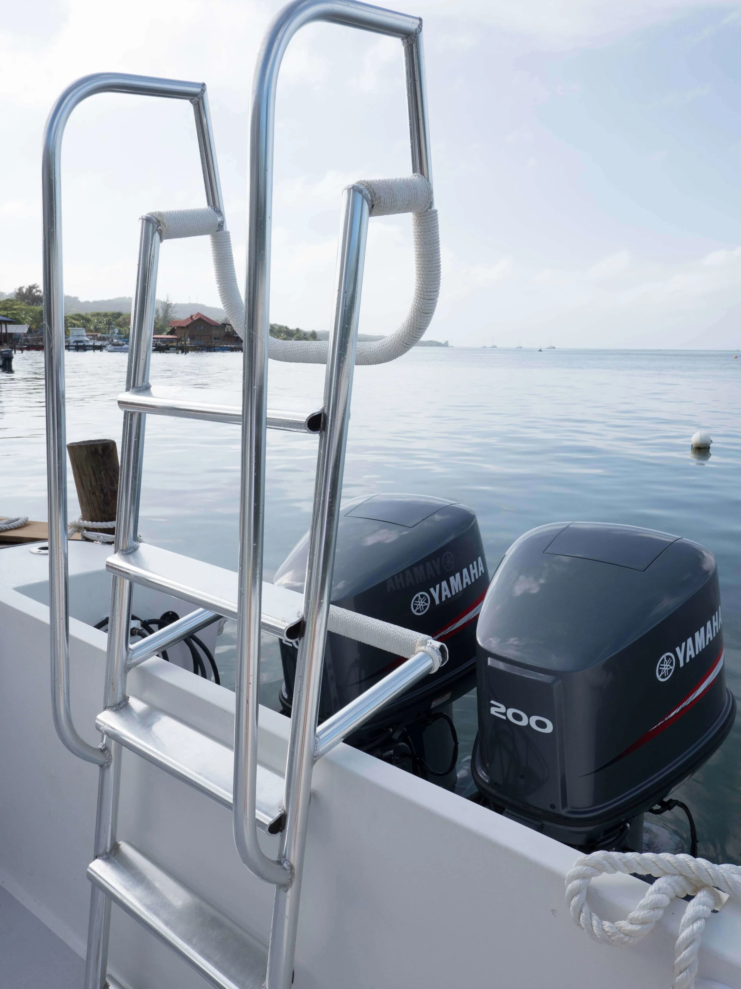 Say Hello to Sága! | Roatan Divers