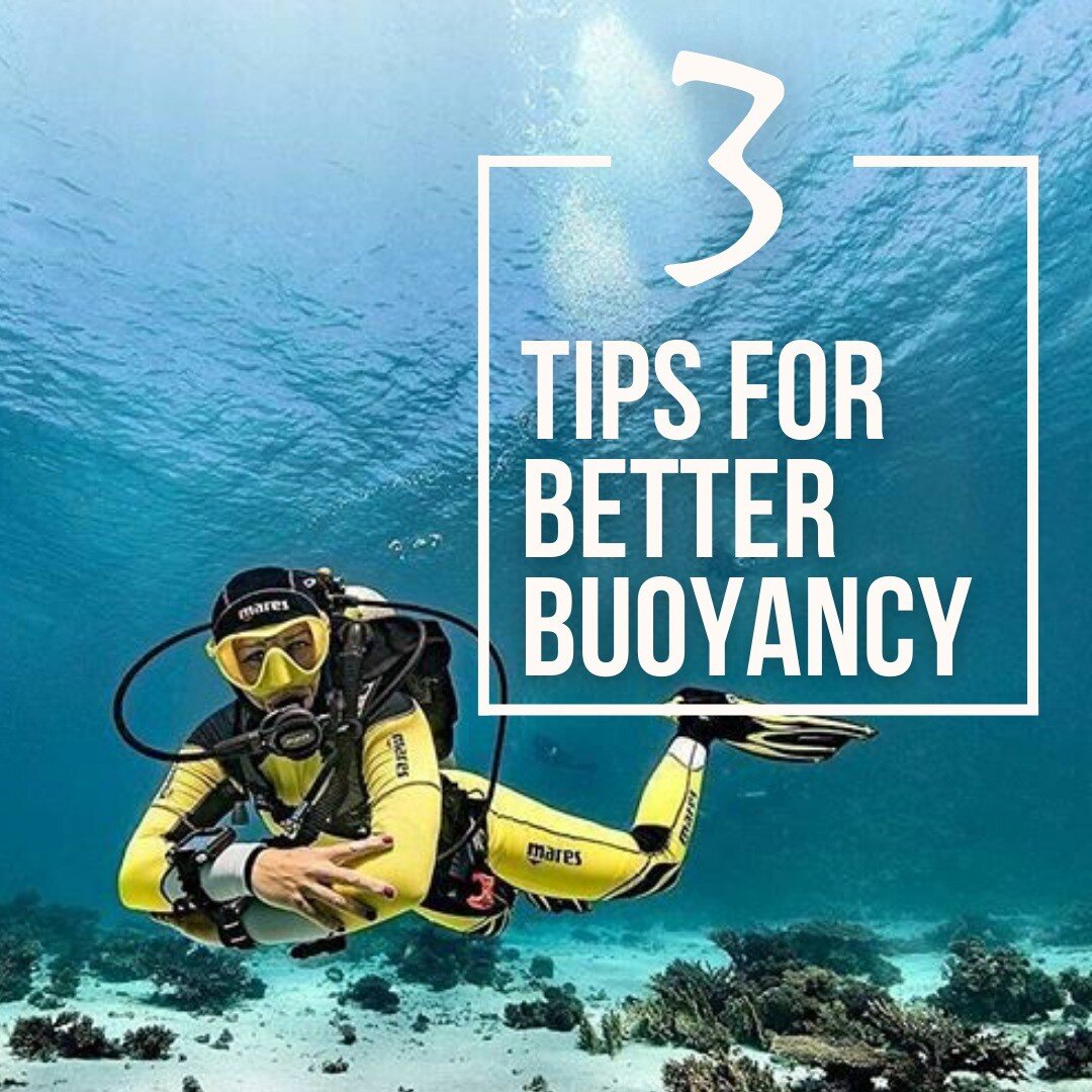 3 Important Rules for Proper Beach Etiquette - Roatan Divers