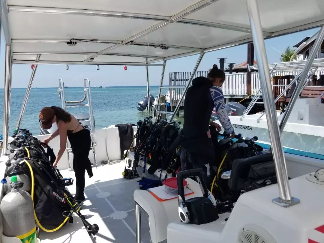 Roatan Divers | The best in boutique style scuba diving on Roatan