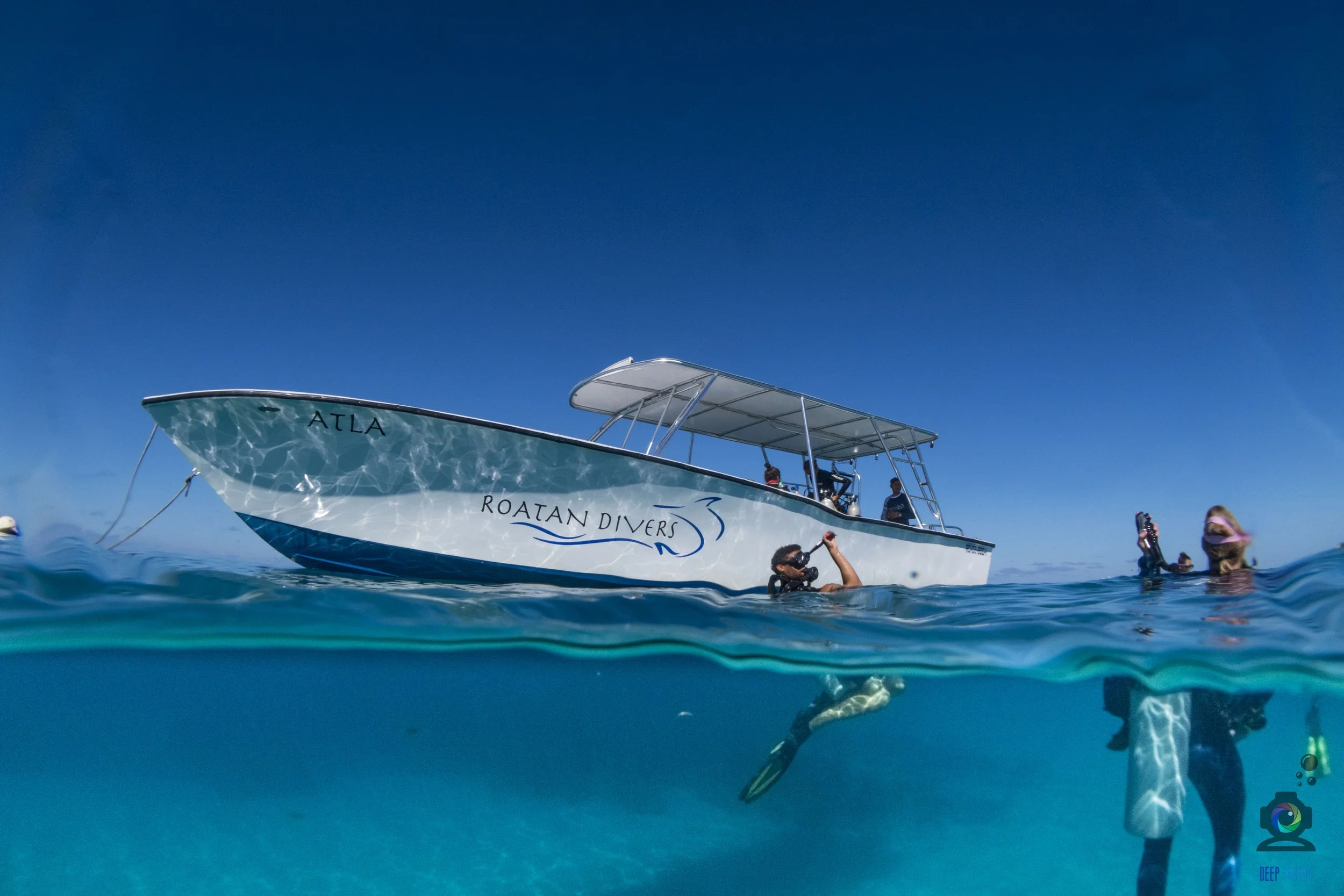 Roatan Divers | The best in boutique style scuba diving on Roatan