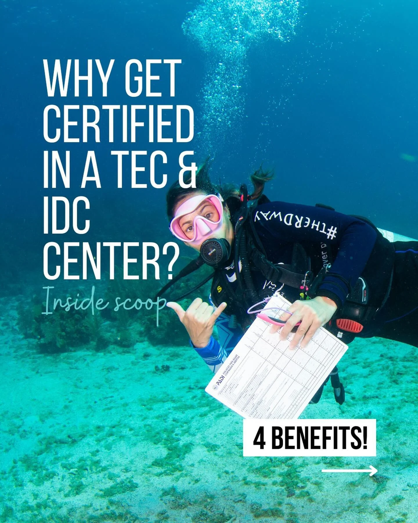 3 Important Rules for Proper Beach Etiquette - Roatan Divers