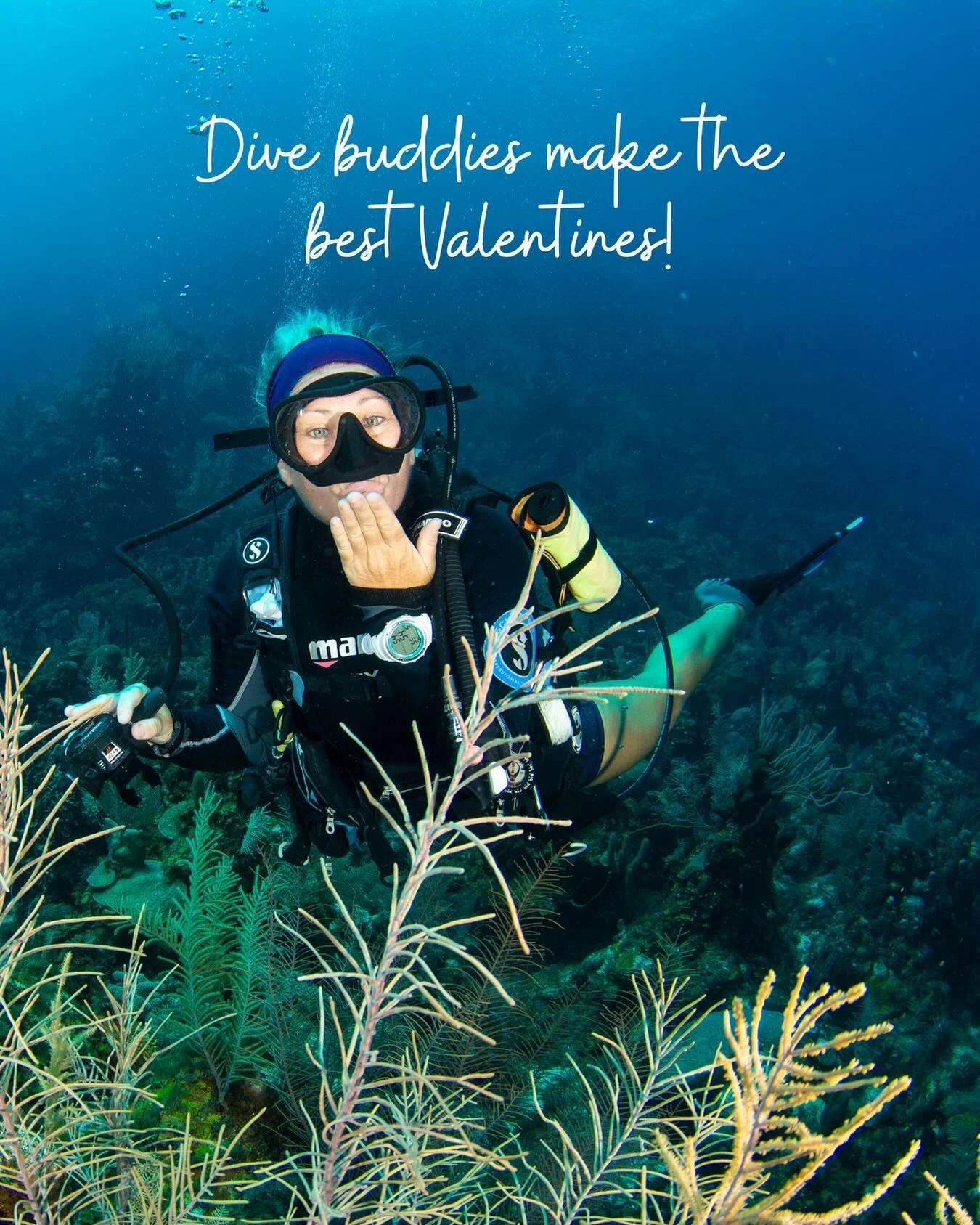 3 Important Rules for Proper Beach Etiquette - Roatan Divers