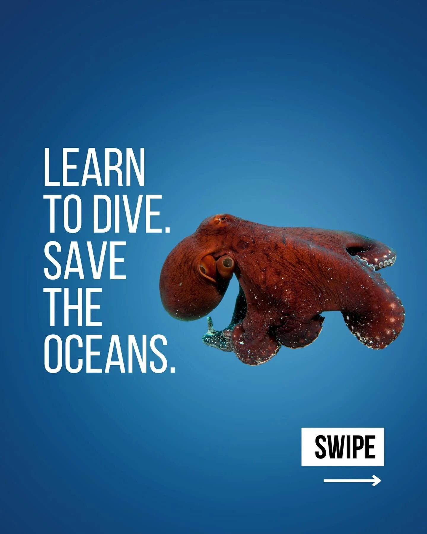 3 Important Rules for Proper Beach Etiquette - Roatan Divers