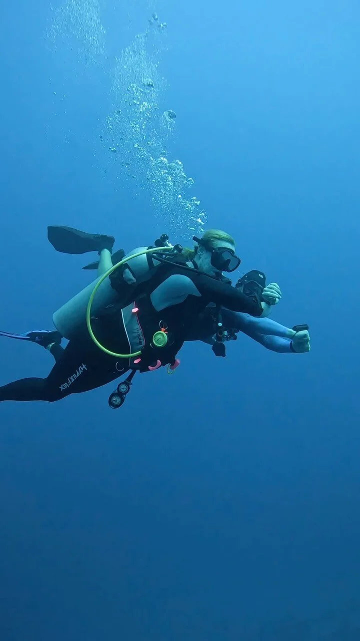 3 Important Rules for Proper Beach Etiquette - Roatan Divers