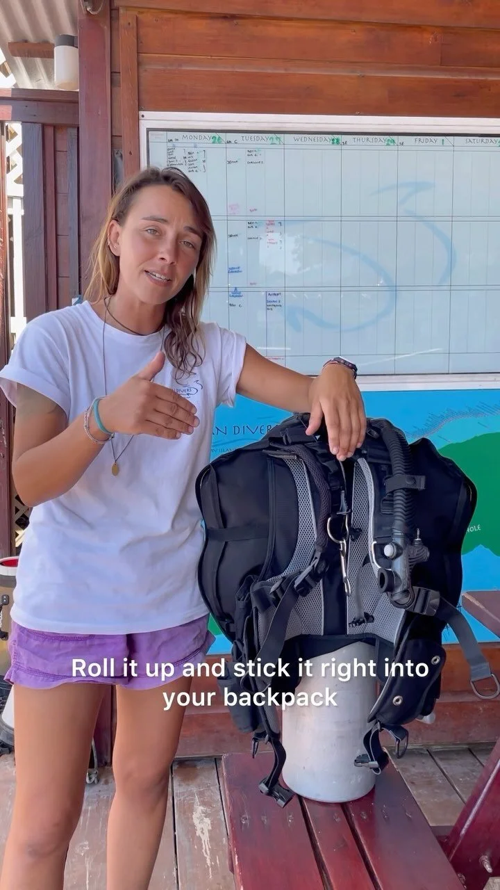 5 Ways to Find the Right Fins for You - Roatan Divers