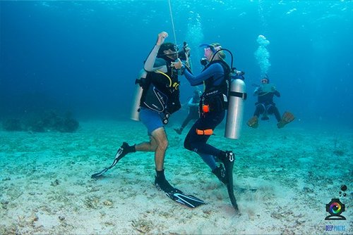 PADI Open Water Diver | Roatan Divers