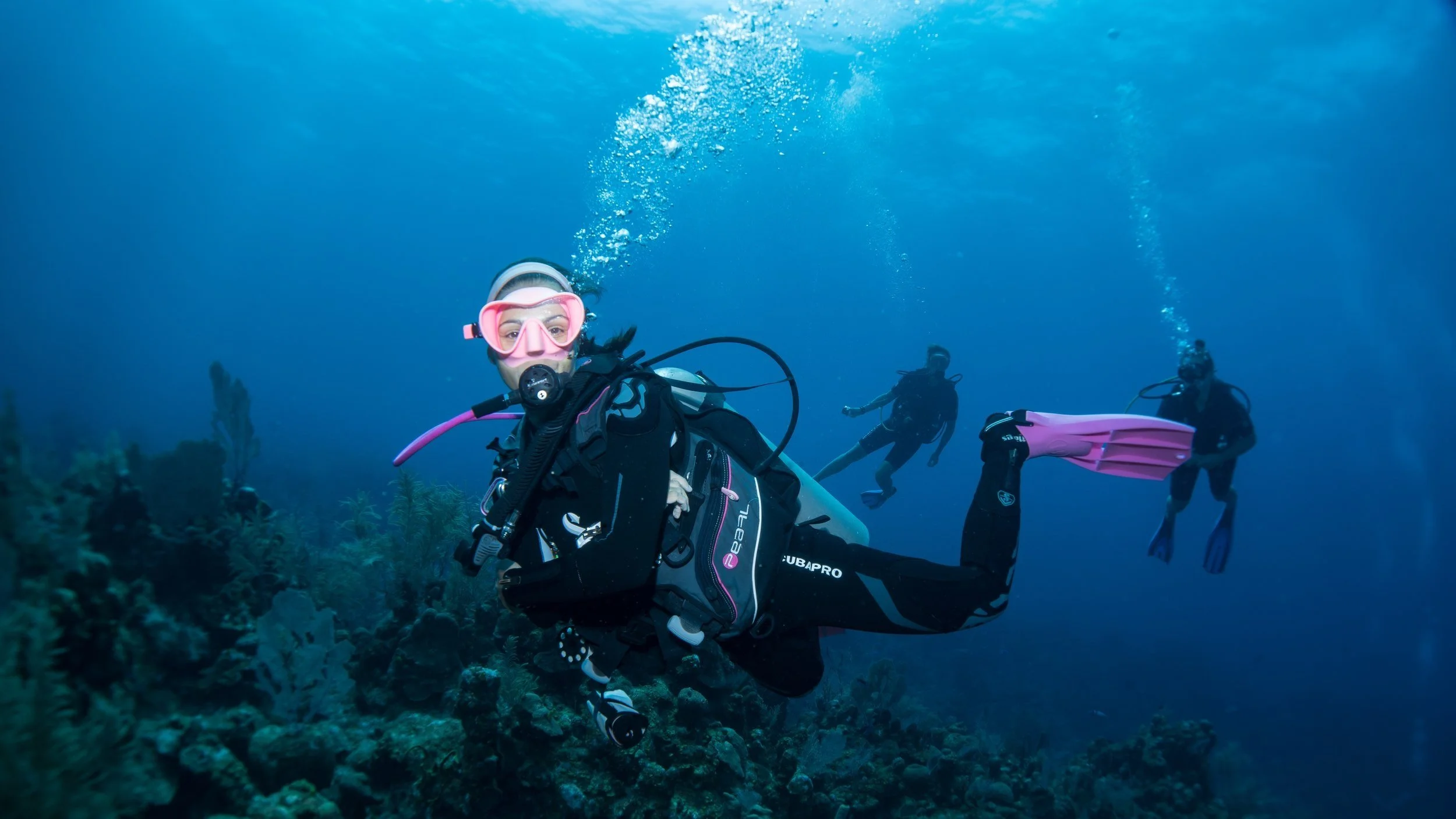 Fun Diving in Roatan | Roatan Divers