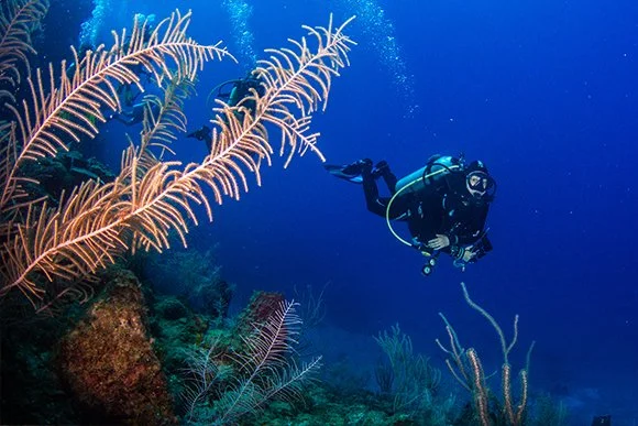 PADI Deep Specialty | Roatan Divers