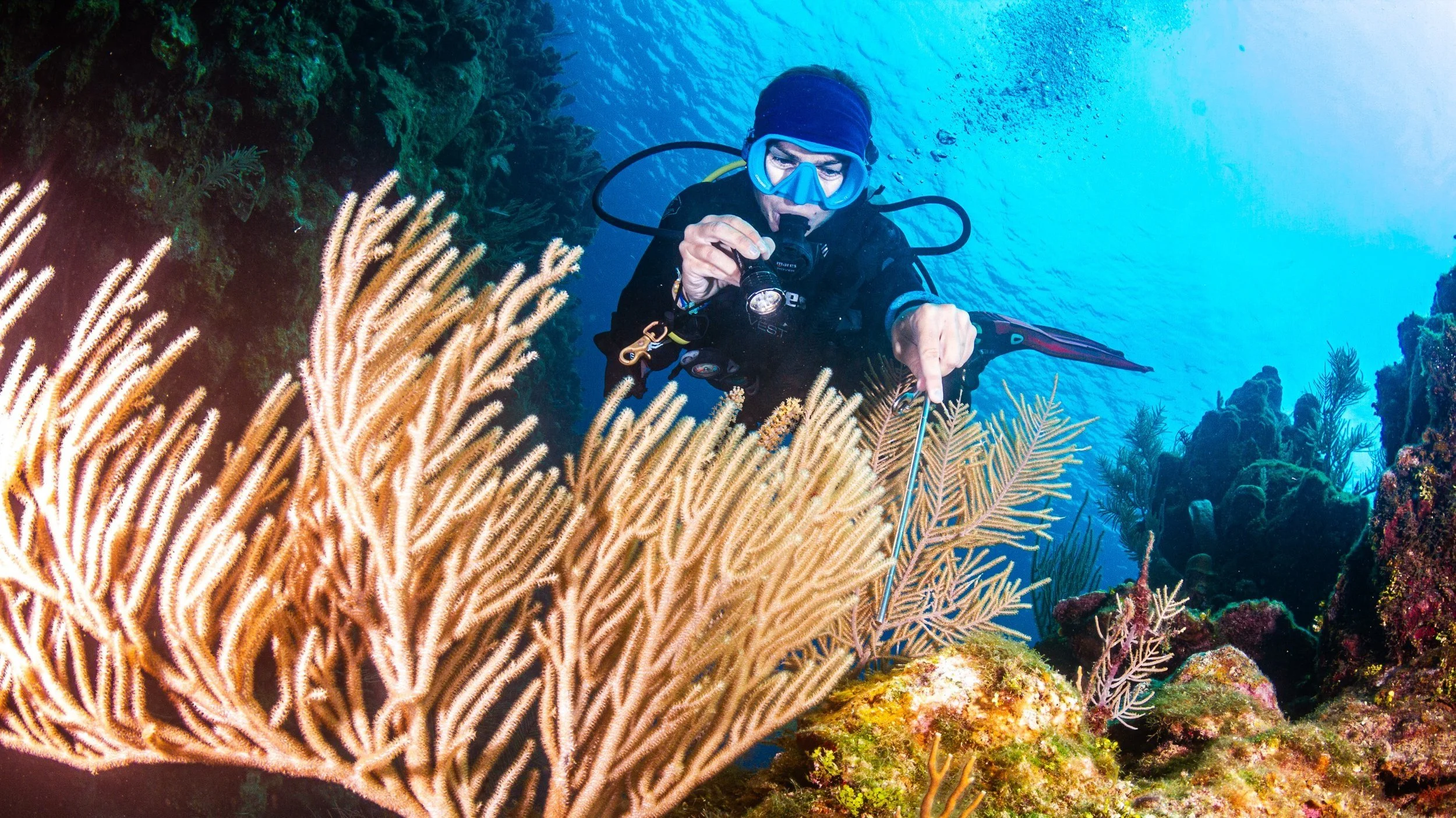 Roatan Divers | Best in boutique diving on Roatan