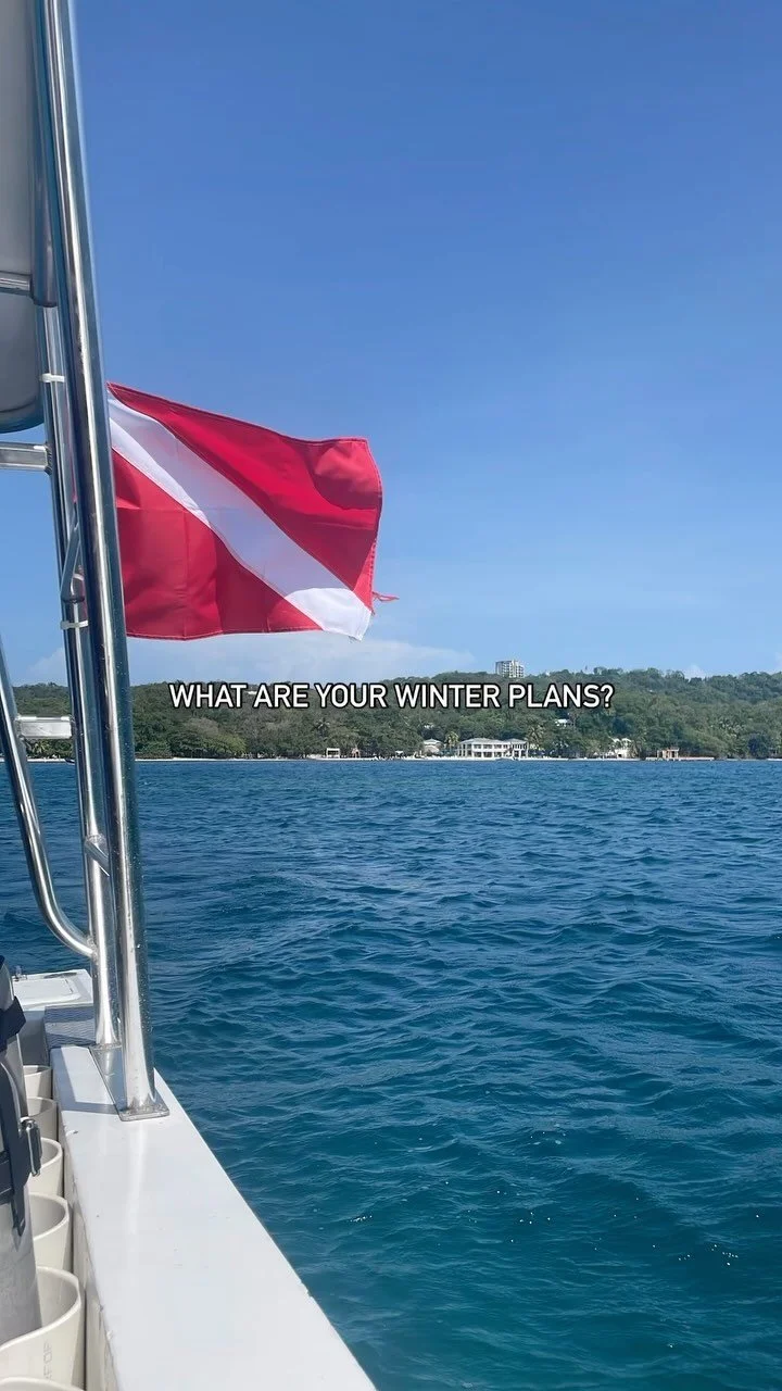 5 Things to Know about Currency on Roatan | Roatan Divers