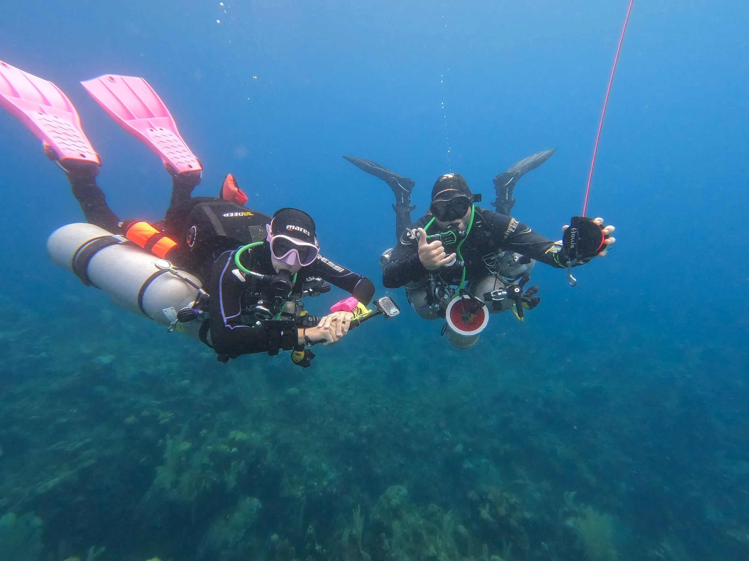 The Best Dive Sites in Roatan | Roatan Divers