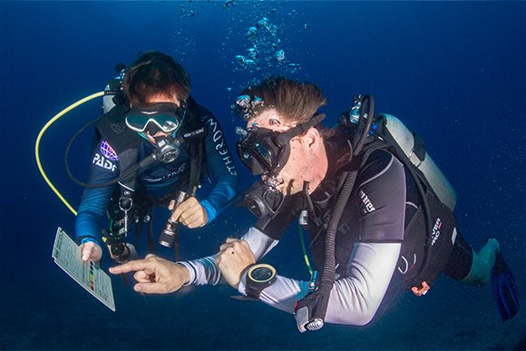 PADI Advanced Open Water Diver | Roatan Divers