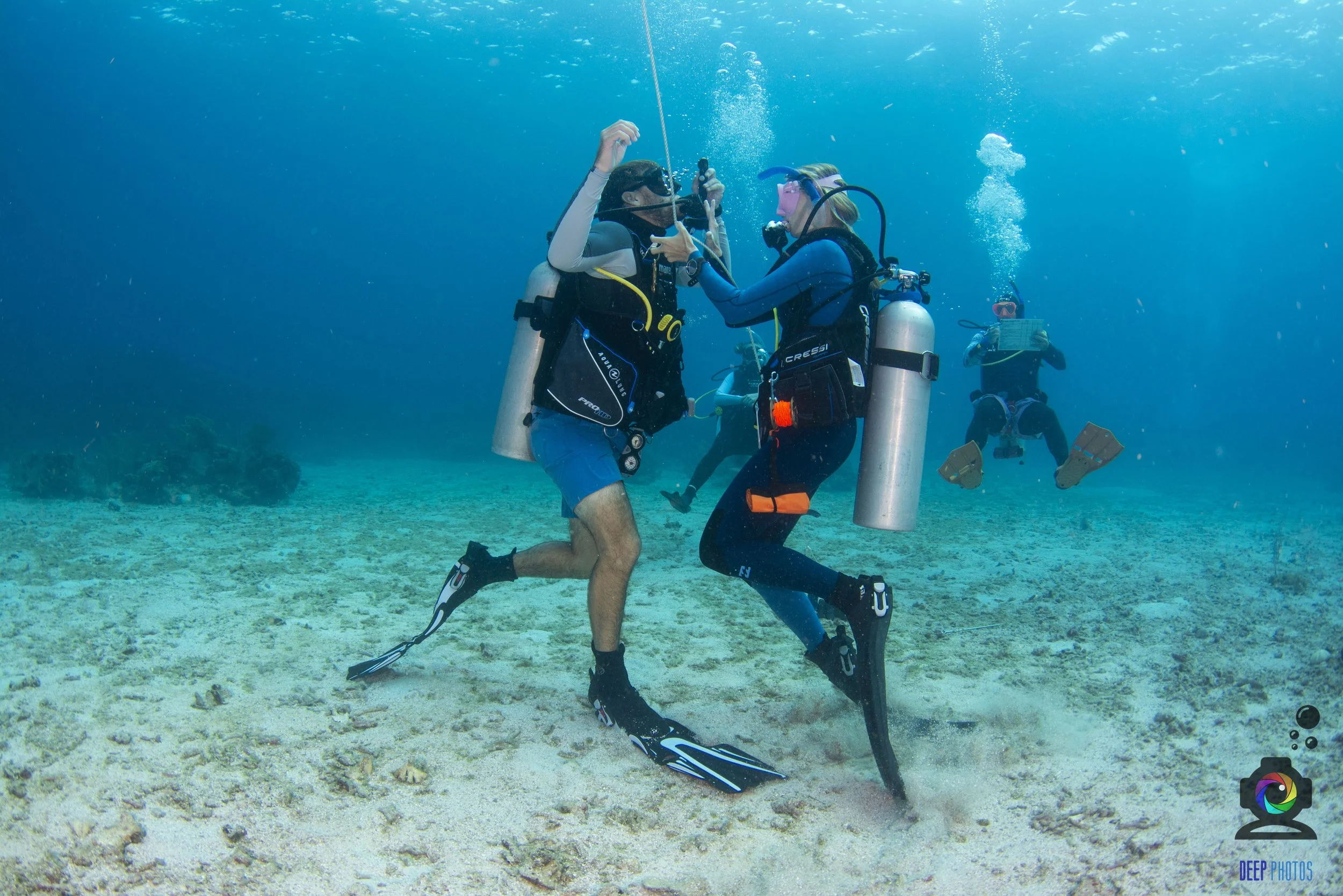 Dive Professional Training - Roatan Divers