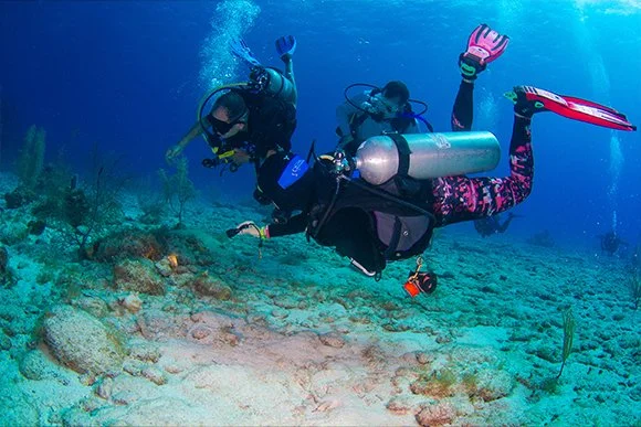 PADI Divemaster Course | Roatan Divers