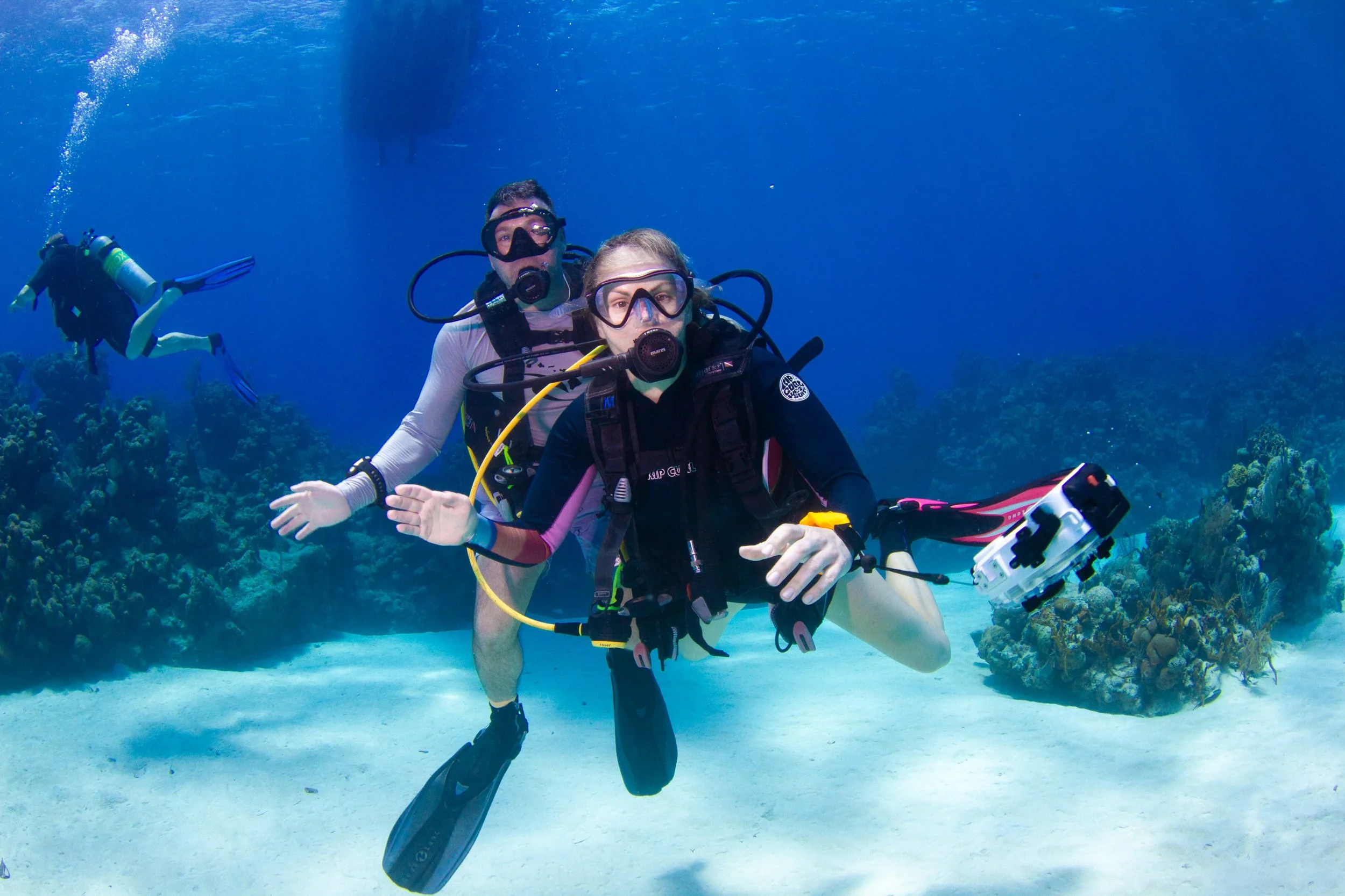The Best Dive Sites in Roatan | Roatan Divers